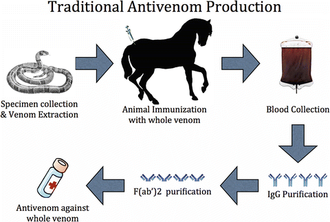 Snakebite Envenoming and Steps Forward – Al3xandria