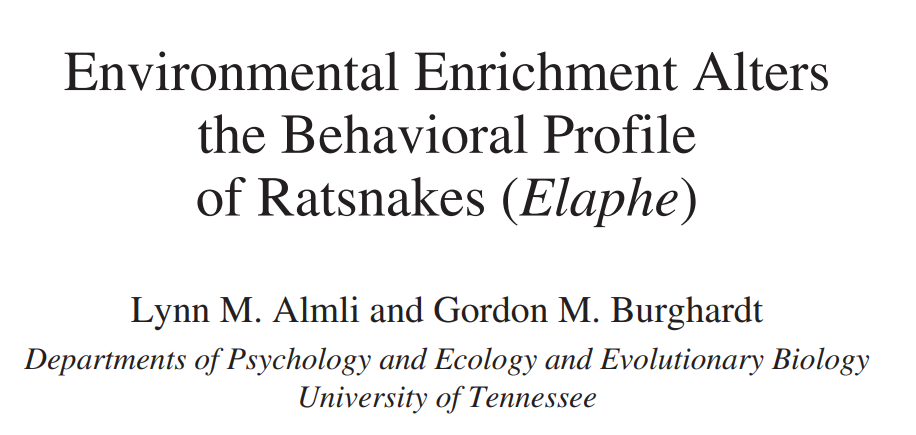 Rat snakes benefit from enrichment – Al3xandria